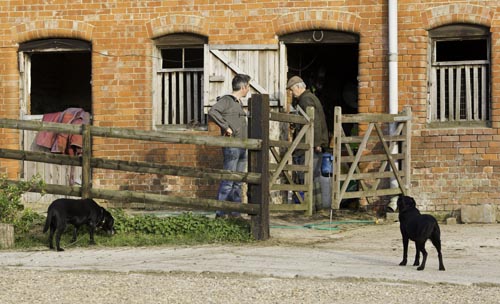 Rew Farm Country Accommodation | Gallery