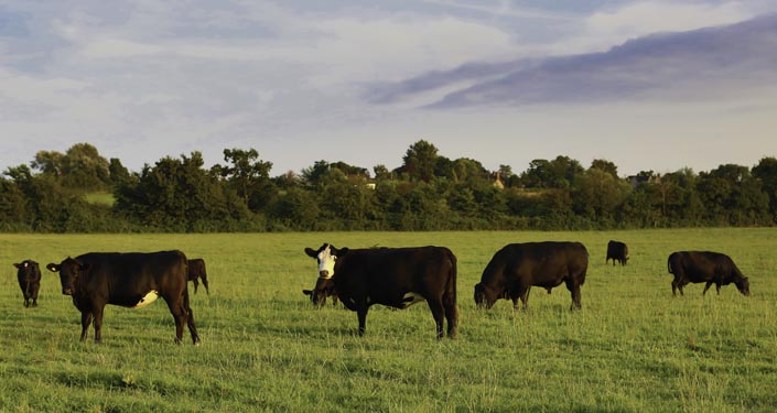 Rew Farm Country Accommodation | Gallery