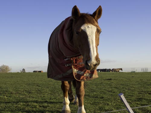 Rew Farm Country Accommodation | Gallery