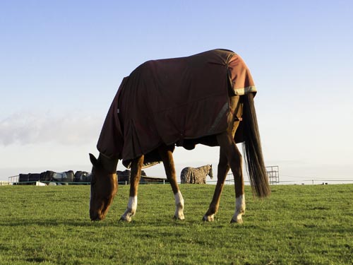 Rew Farm Country Accommodation | Gallery